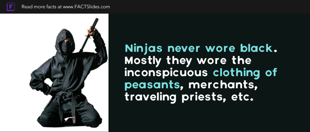 Ninjas never wore black. Mostly they wore the inconspicuous clothing of ...