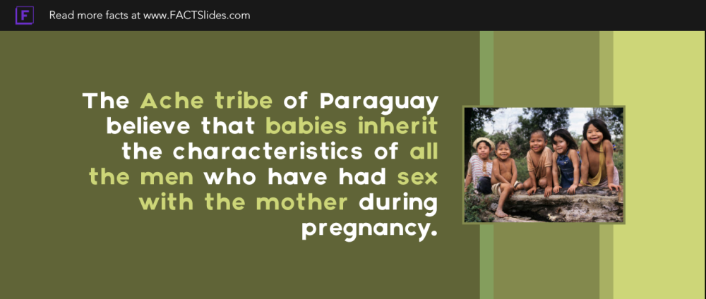 Paraguay Facts: 16 Facts about Paraguay ←FACTSlides→